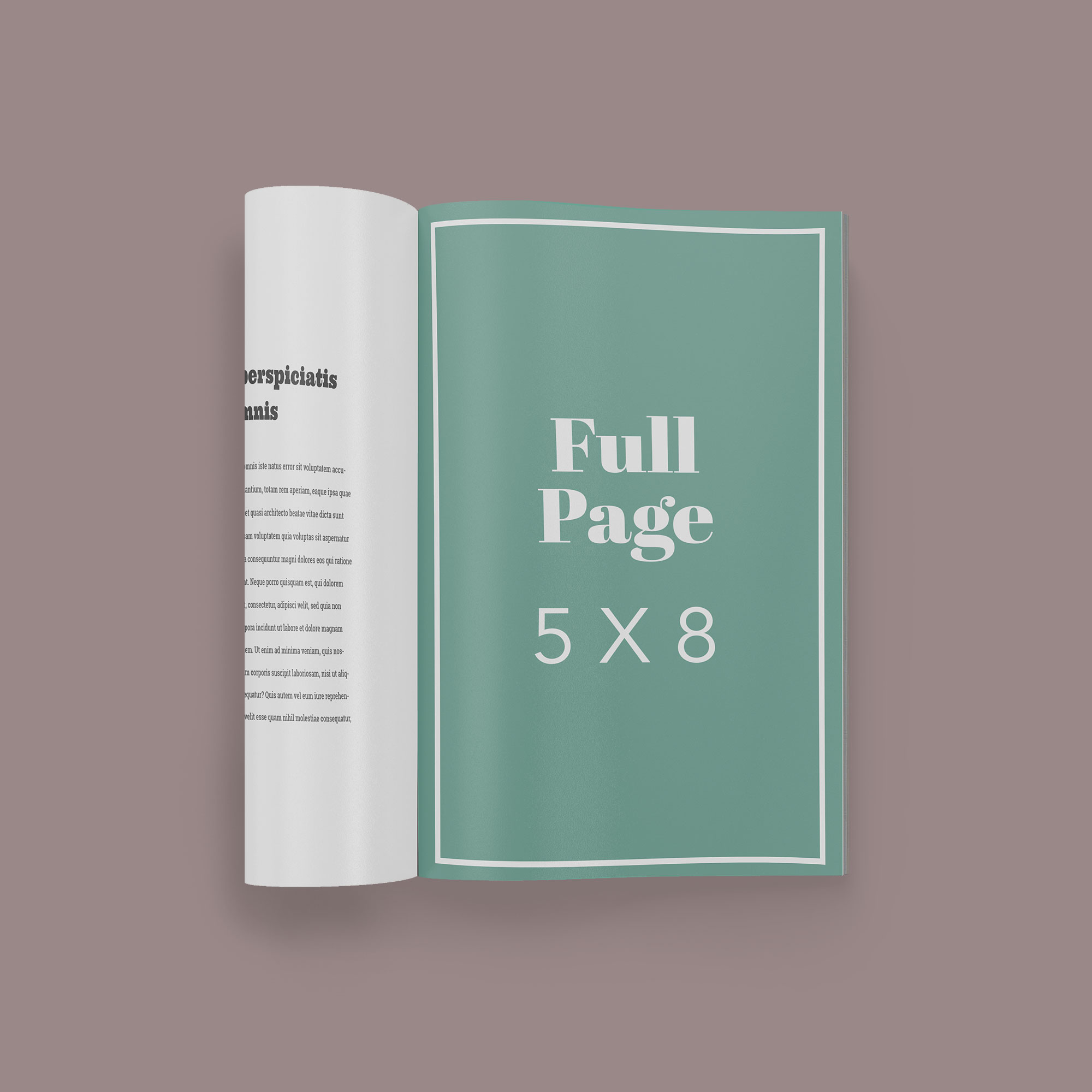 Full Page – The Members Digest